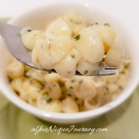 Easy Creamy Garlic Pasta Recipe - A YouNique Journey